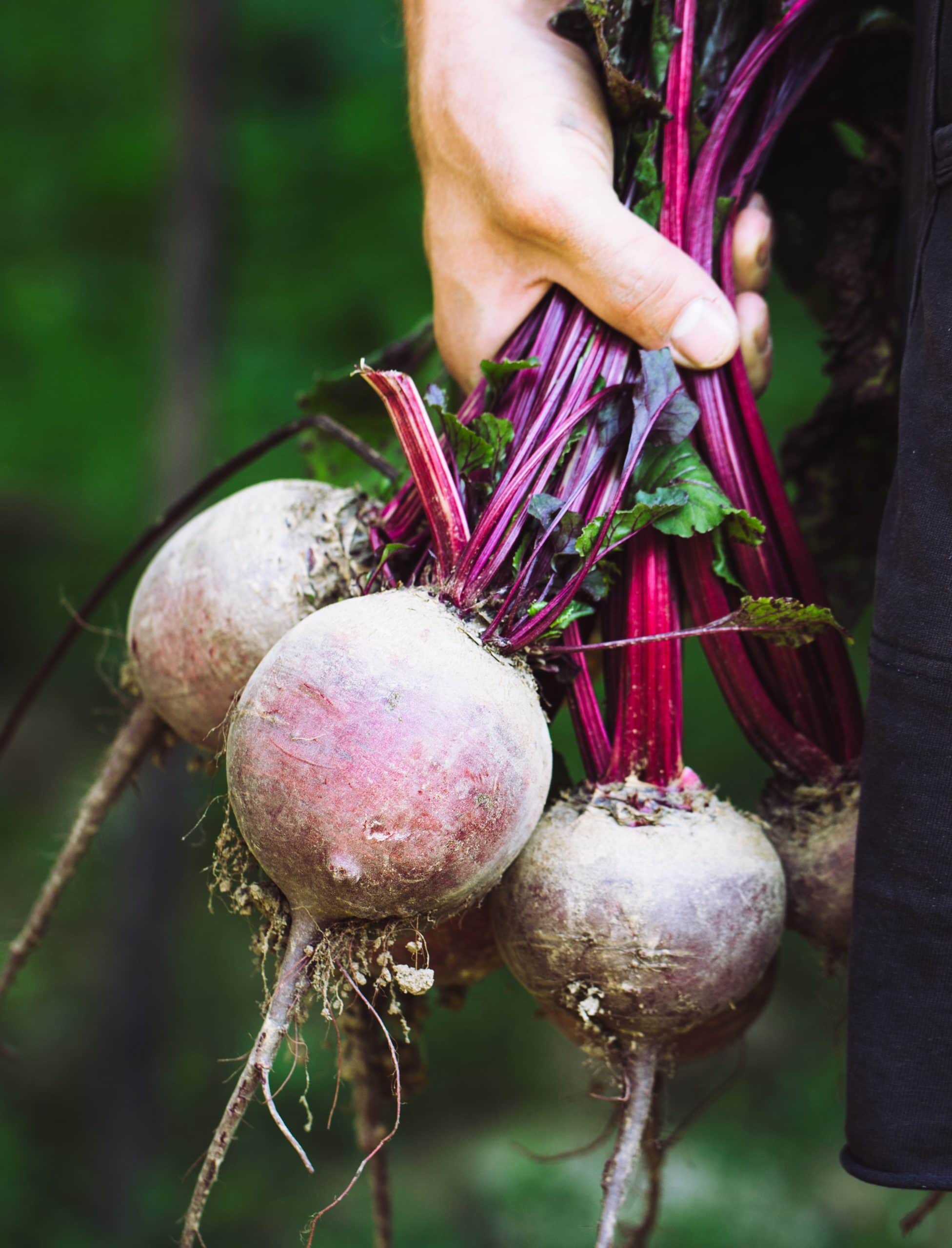 Laurie Bennett Translation | French-to-English Translations | Canada